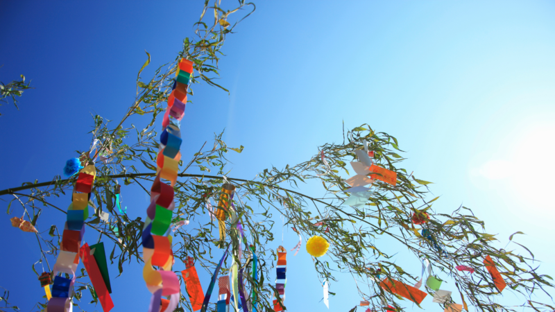 子どもと楽しむ七夕～ヤクルト保育園の季節行事～ | Mama Yell